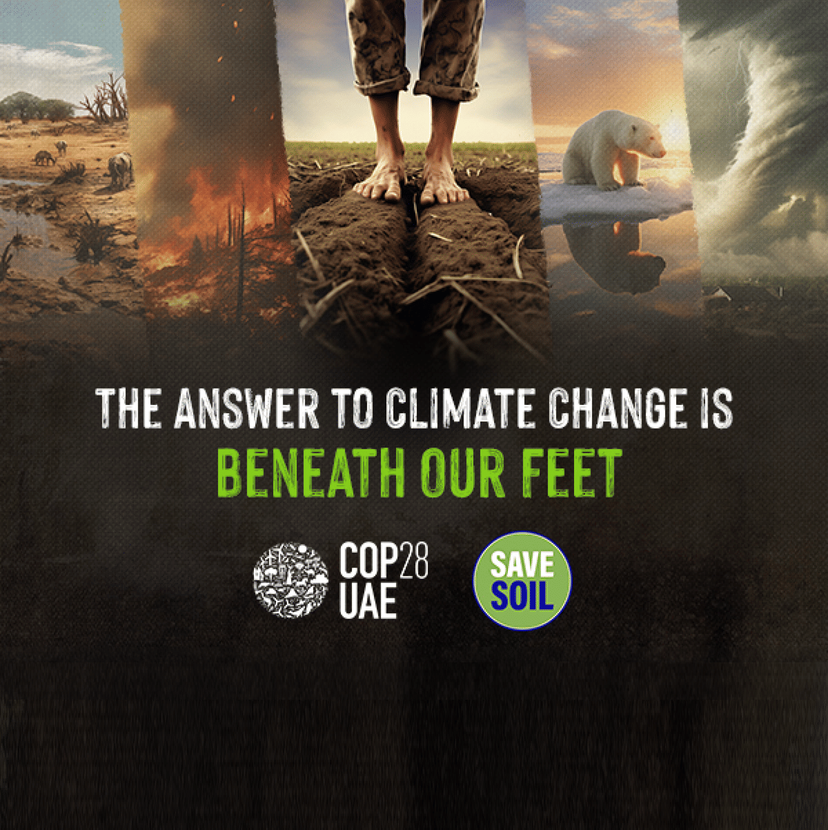 Global Movement to #SaveSoil