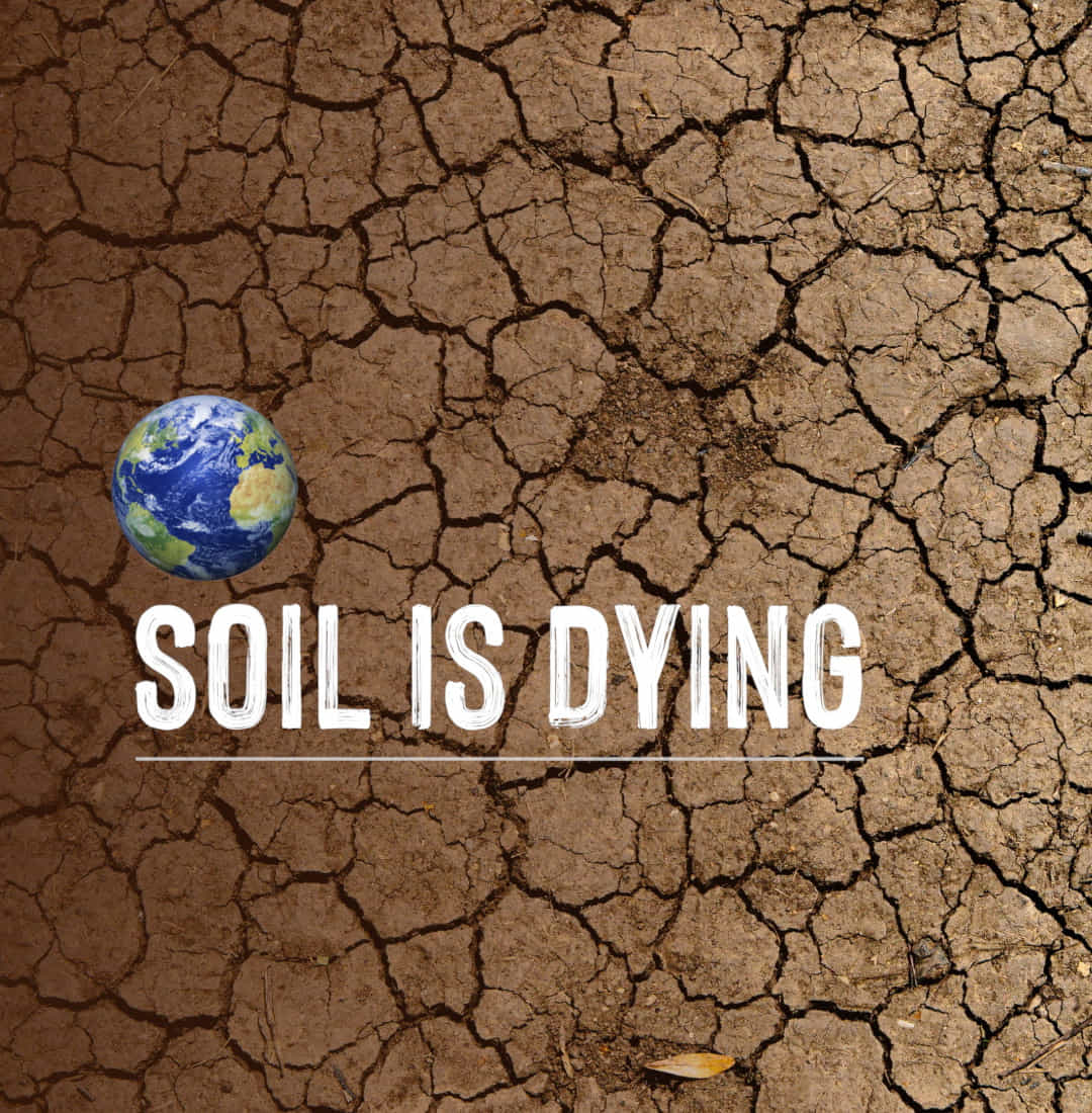 Global Movement to #SaveSoil