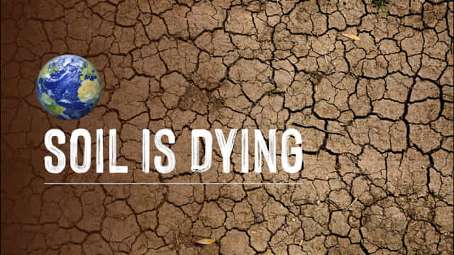 Global Movement to #SaveSoil
