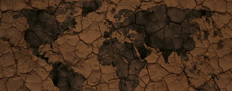 How To Save Soil - The Source of Our Life